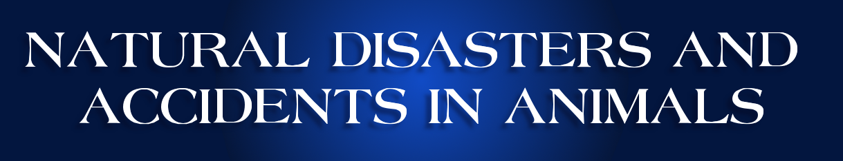 COMMON NATURAL DISASTERS AND ACCIDENTS REPORTED IN ANIMALS – TNVAS.COM